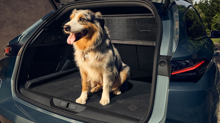 New Peugeot 308 SW | Hybrid & Plug-In Hybrid | Estate Car